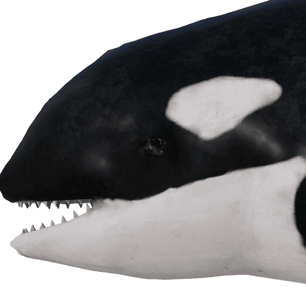arpiamino's Orca - 172,189.90 lbs | GONE Fishing