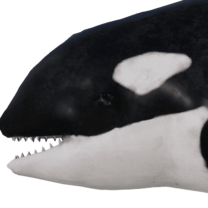 BERK's Orca - 37,804.16 lbs | GONE Fishing