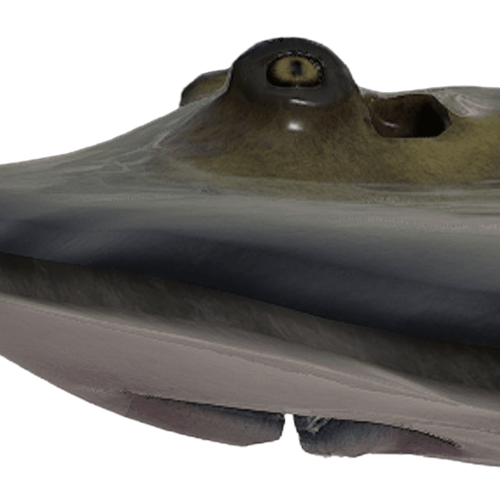 DaSpoobz's Stingray - 9,070.49 lbs | GONE Fishing