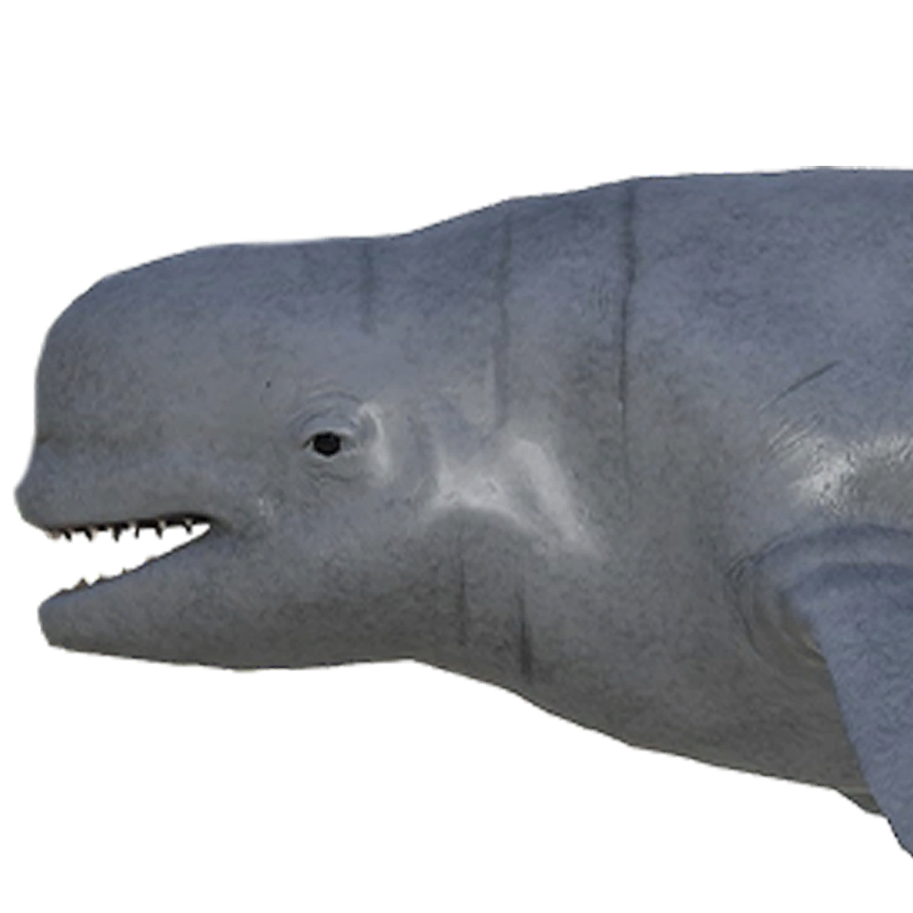 BERK's Beluga - 2,299.23 lbs | GONE Fishing
