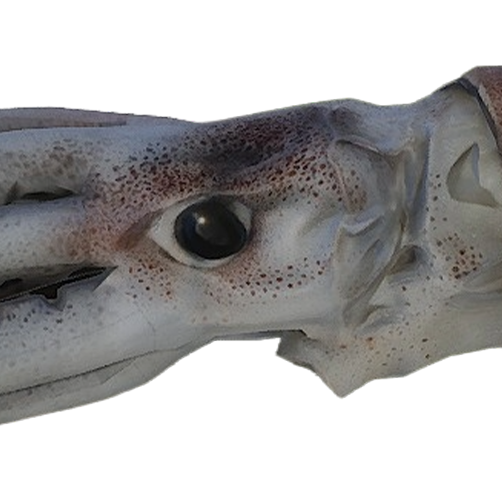 KStorrm | Twitch's Giant Squid - 91,348.42 lbs | GONE Fishing