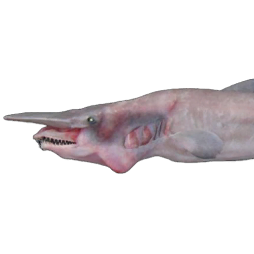 Chad Powercock's Goblin Shark - 3,684.78 lbs | GONE Fishing
